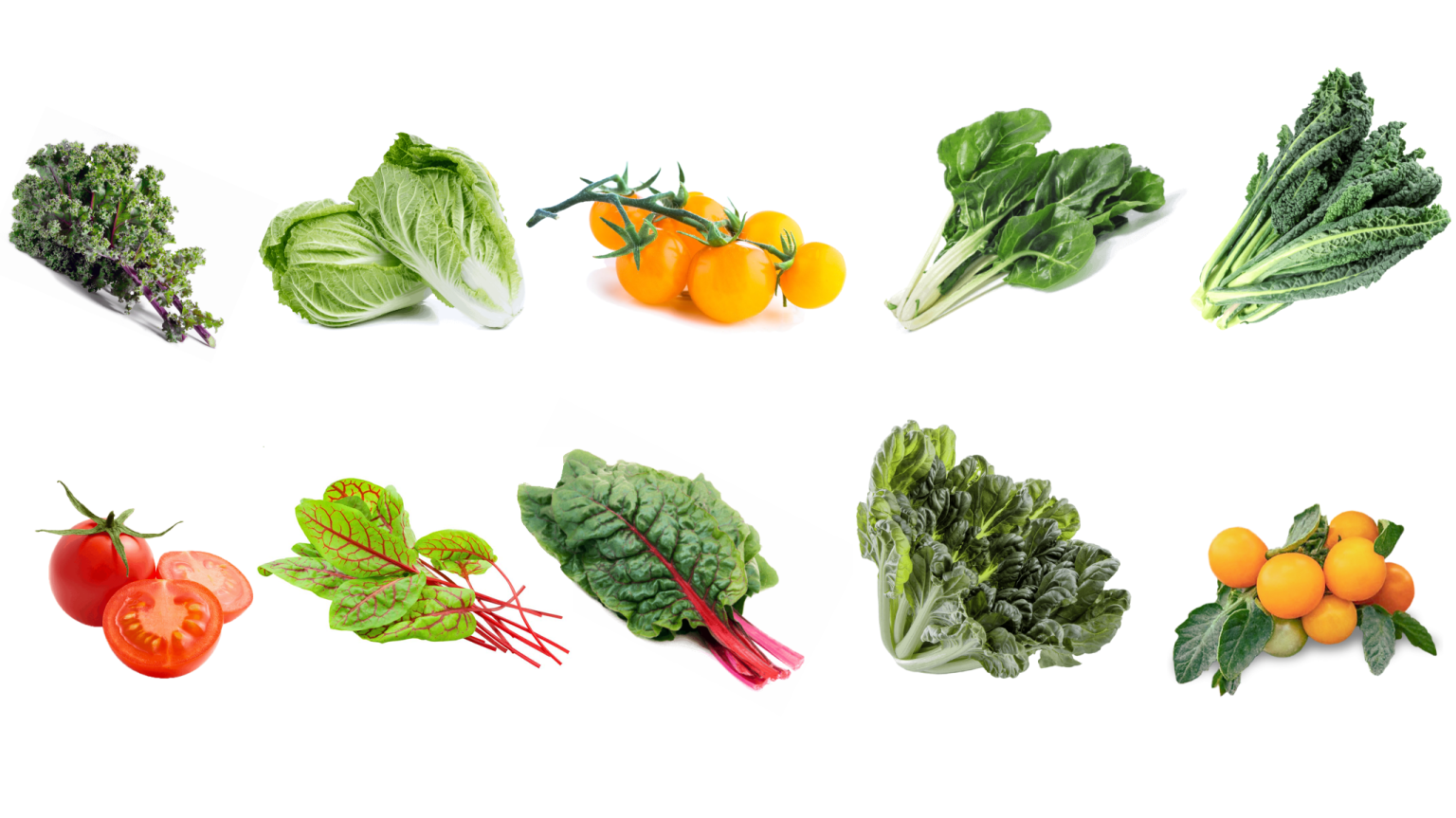 Seed Pods for Planting - Vegehome